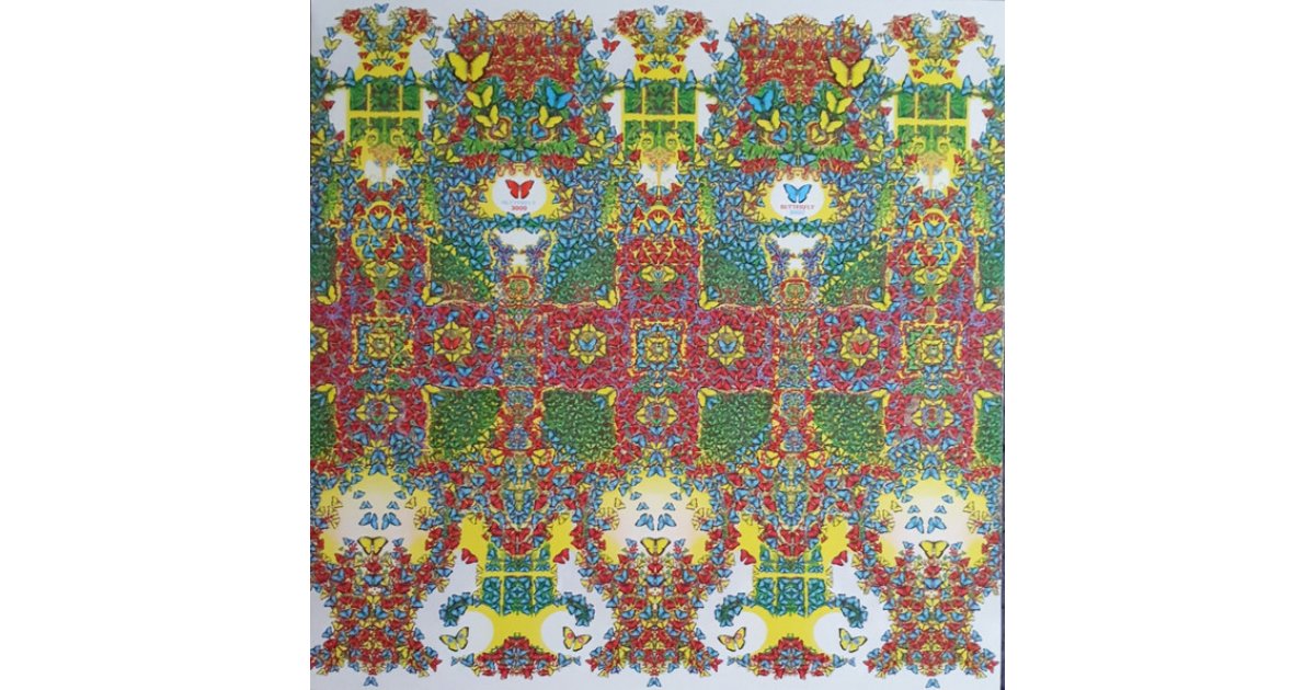 Butterfly 3000, King Gizzard And the Lizard Wizard – LP – Music Mania ...