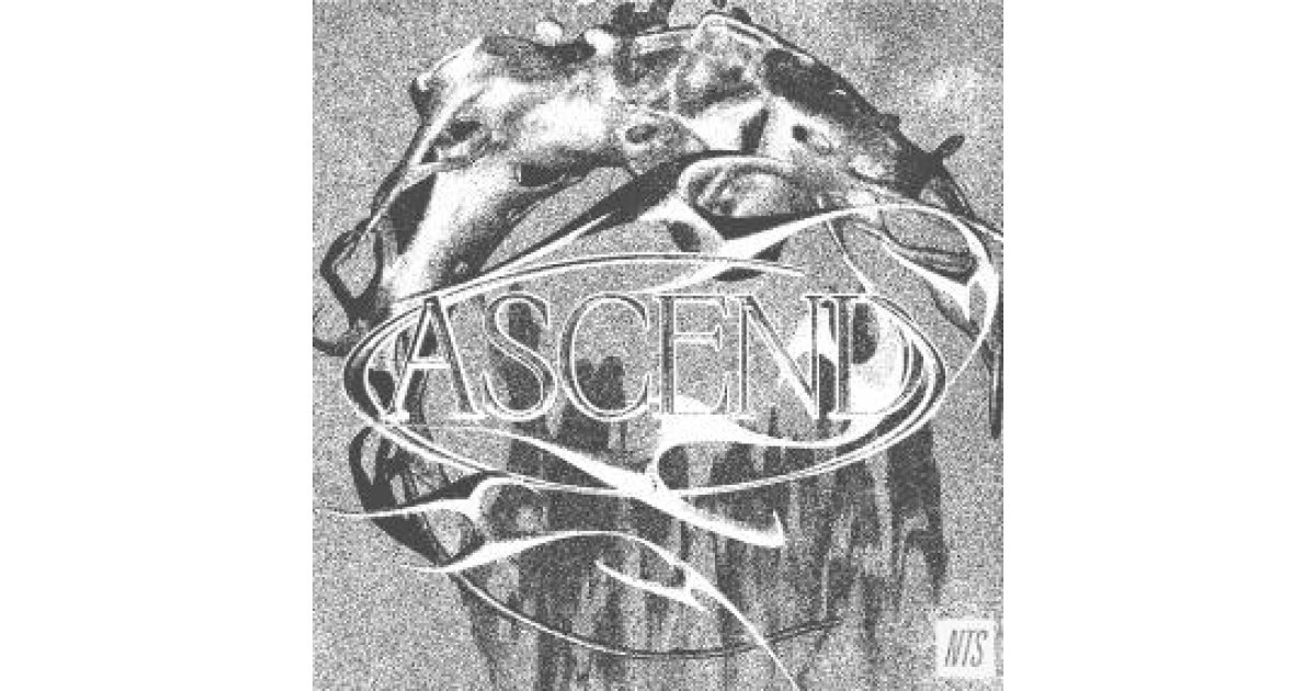 Ascend, Various – 2 x LP – Music Mania Records – Ghent