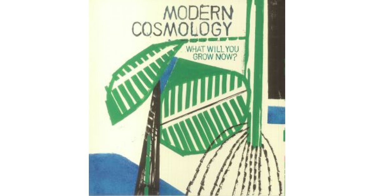 What Will You Grow Now?, Modern Cosmology – LP – Music Mania Records ...