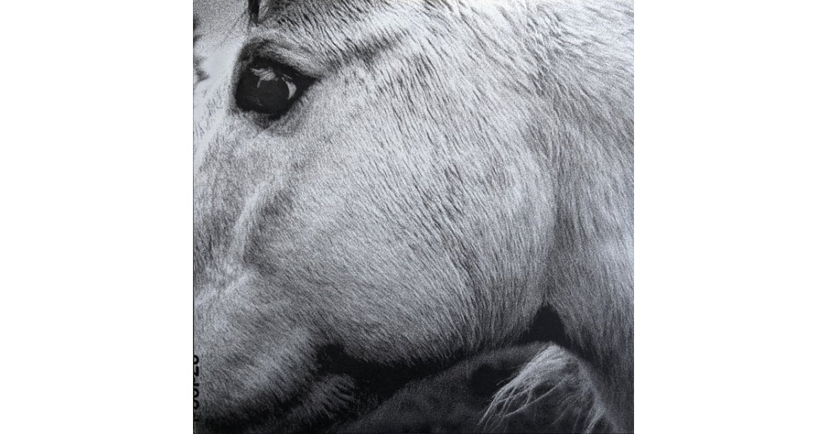 Bonny Light Horseman, Bonny Light Horseman – LP – Music Mania Records ...