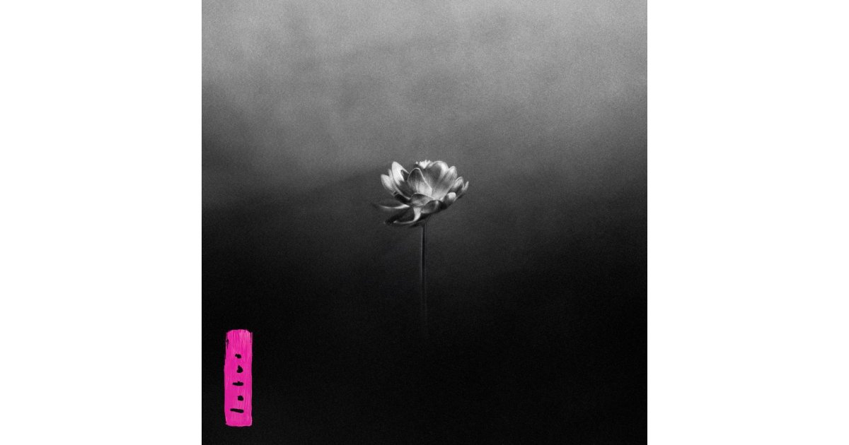 Lotus - Electric Pink Vinyl, Little Simz – 2 x LP – Music Mania Records ...