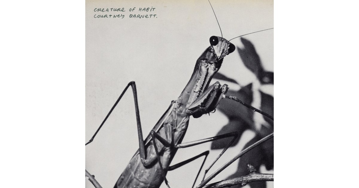 Creature of Habit - Caramel Vinyl, Courtney Barnett – LP – Music Mania ...