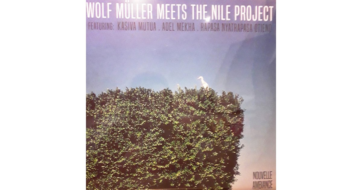 Wolf Müller Meets The Nile Project , Wolf Müller – LP – Music Mania ...